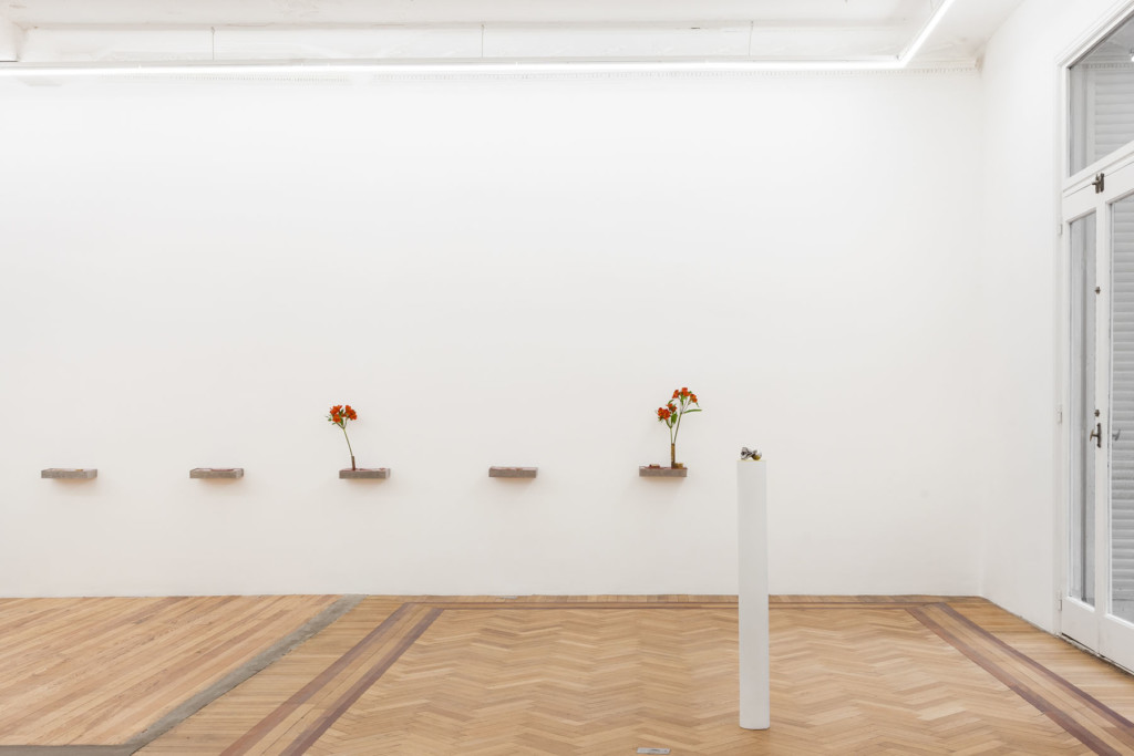 Fotografía de obra — Valentín Demarco